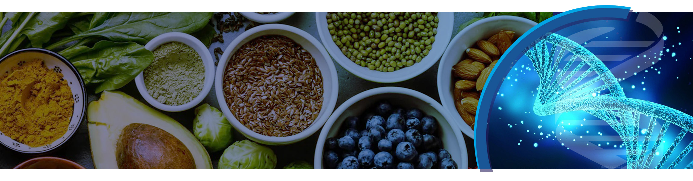 Introducing Fasting, Calorie Restriction and Longevity - The Age Well Times