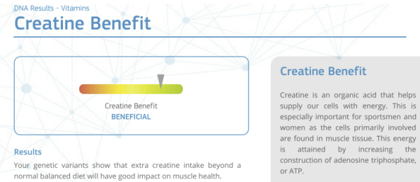 Creatine and Healthy Aging - The Age Well Times